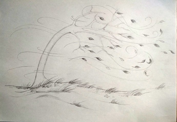 Wind Drawing